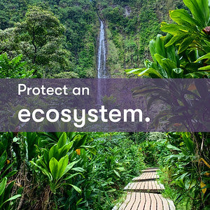 Ice Dancer – Every Day with Tracey